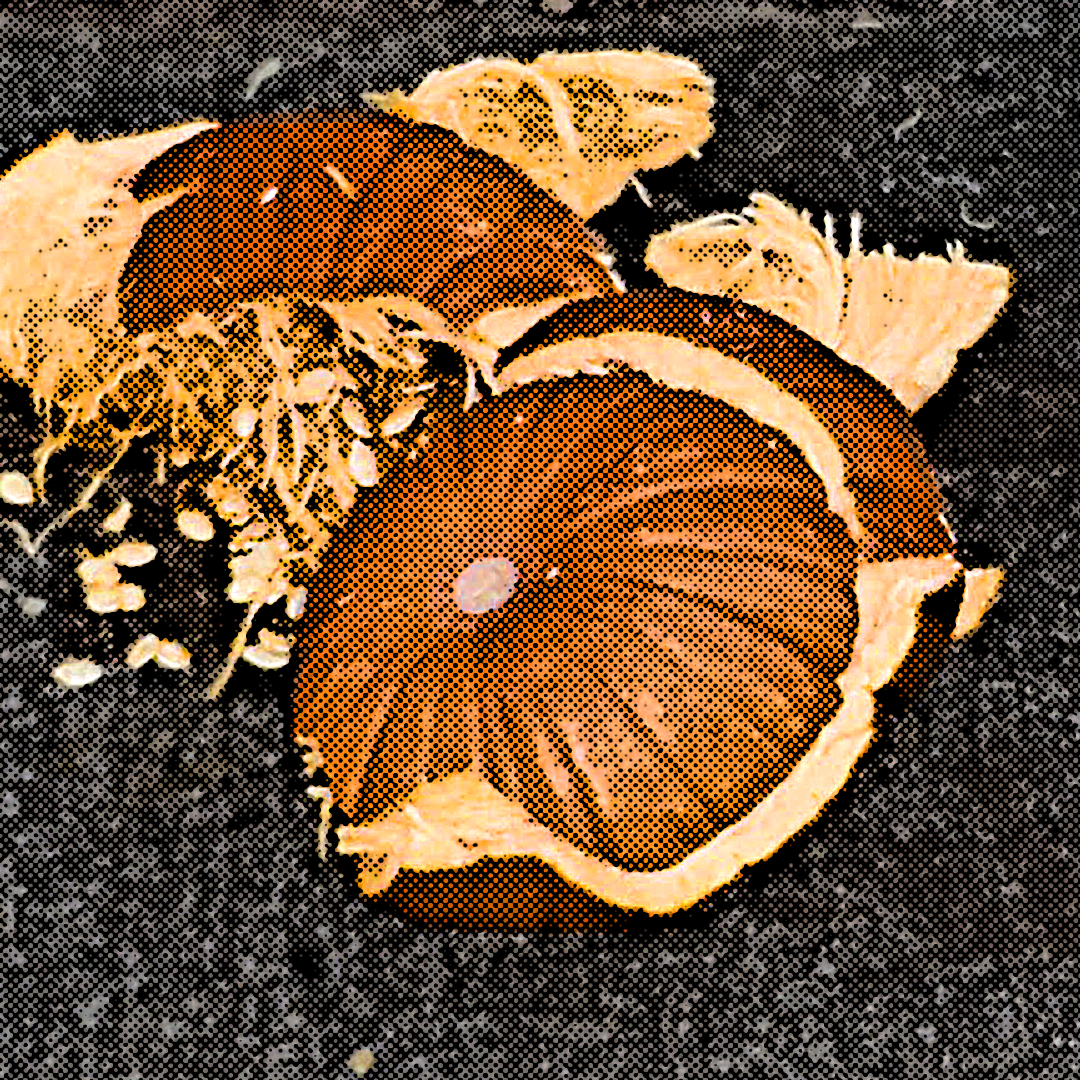 Clinical Pathways: Concussion Series with Nick Pfeifer, EdM, ATC